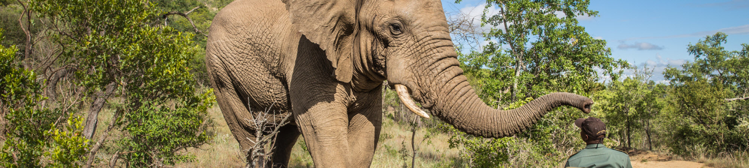 Instant Quotes - Ubuntu Bus Hire - Affordable Travel Services